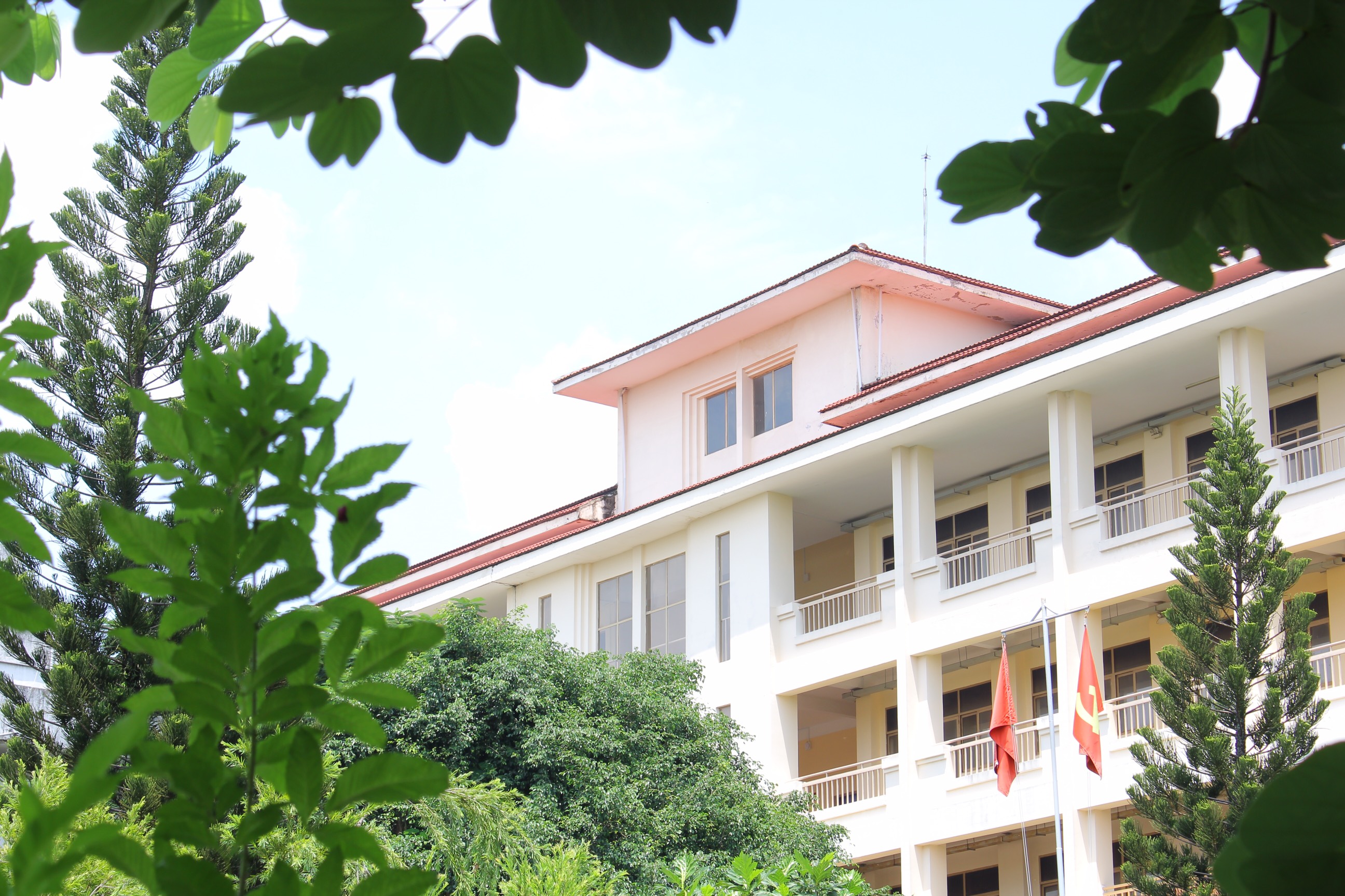 Mức học phí các chương trình đào tạo năm học 2023 - 2024