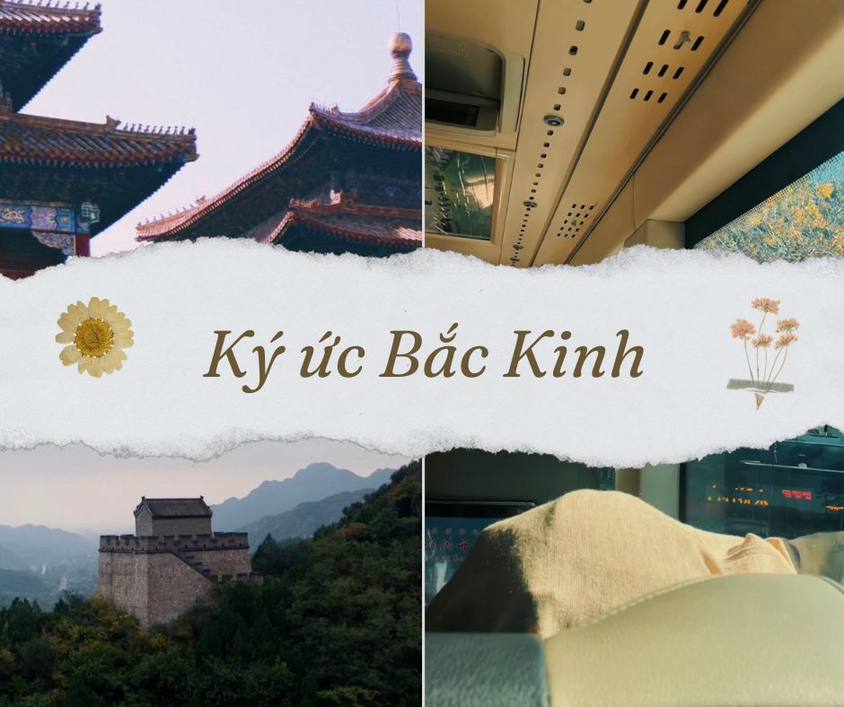 𝐑𝐄𝐌𝐈𝐍𝐈𝐒𝐂𝐄𝐍𝐂𝐄 | KÝ ỨC BẮC KINH