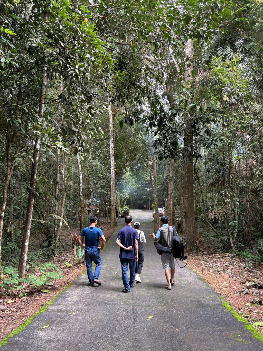 Fostering Forest Conservation through Sustainable Ecotourism Development