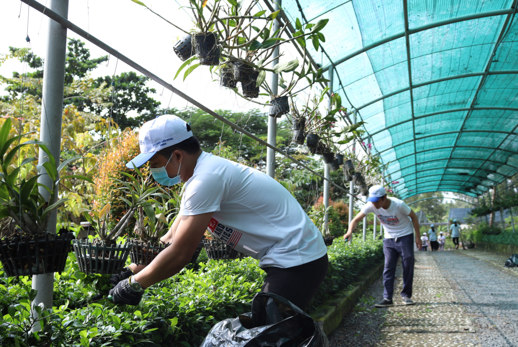 TRƯỜNG ĐẠI HỌC KHOA HỌC XÃ HỘI VÀ NHÂN VĂN - ĐHQG TP.HCM